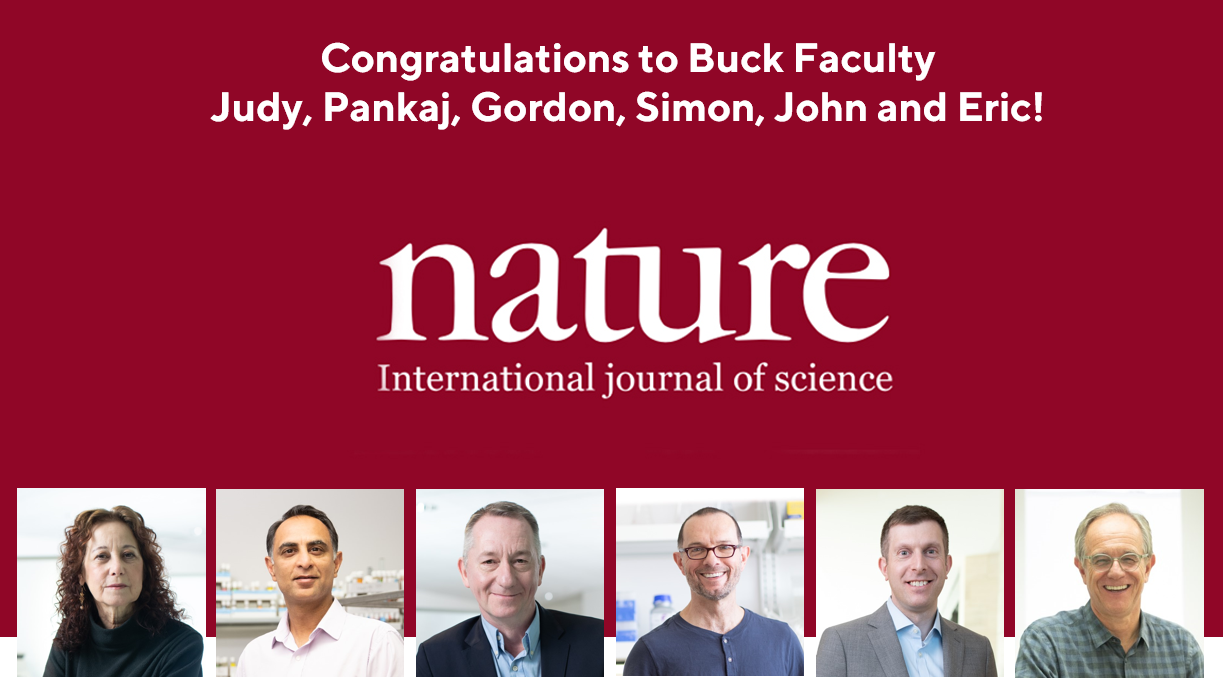 Buck faculty chronicle 30 years of research on aging in review article ...