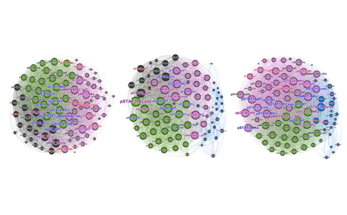 Chronic viral infections can have lasting effects on human immunity ...