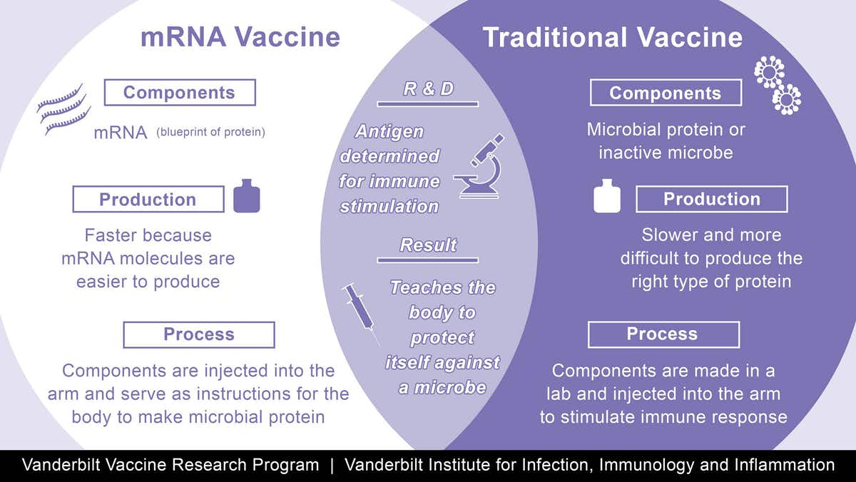 A Shot Towards Ending a Pandemic: Vaccines Explained