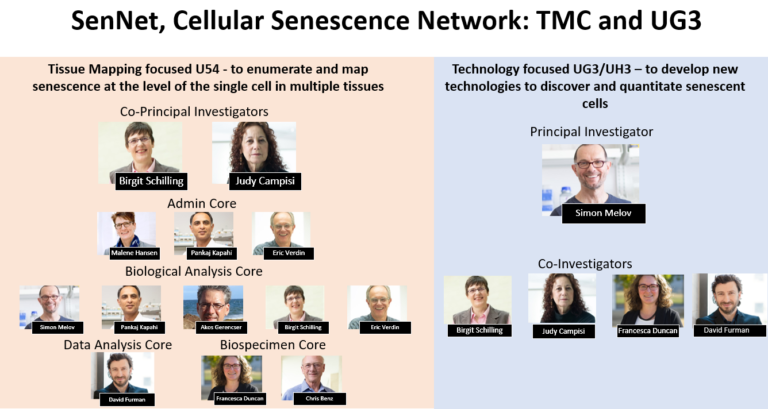 Human Tissue Mapping Center (TMC)
