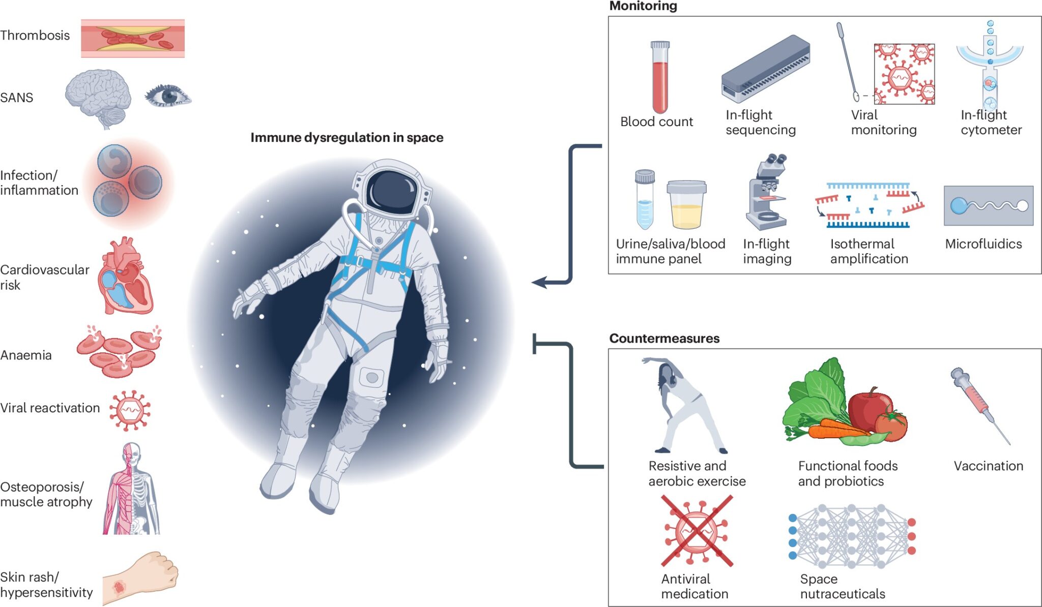 A hitchhiker’s guide to the galaxy of space immunology